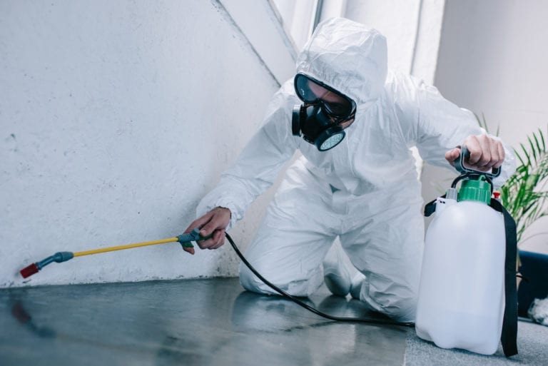 How Much Does Pest Control Cost in 2025?