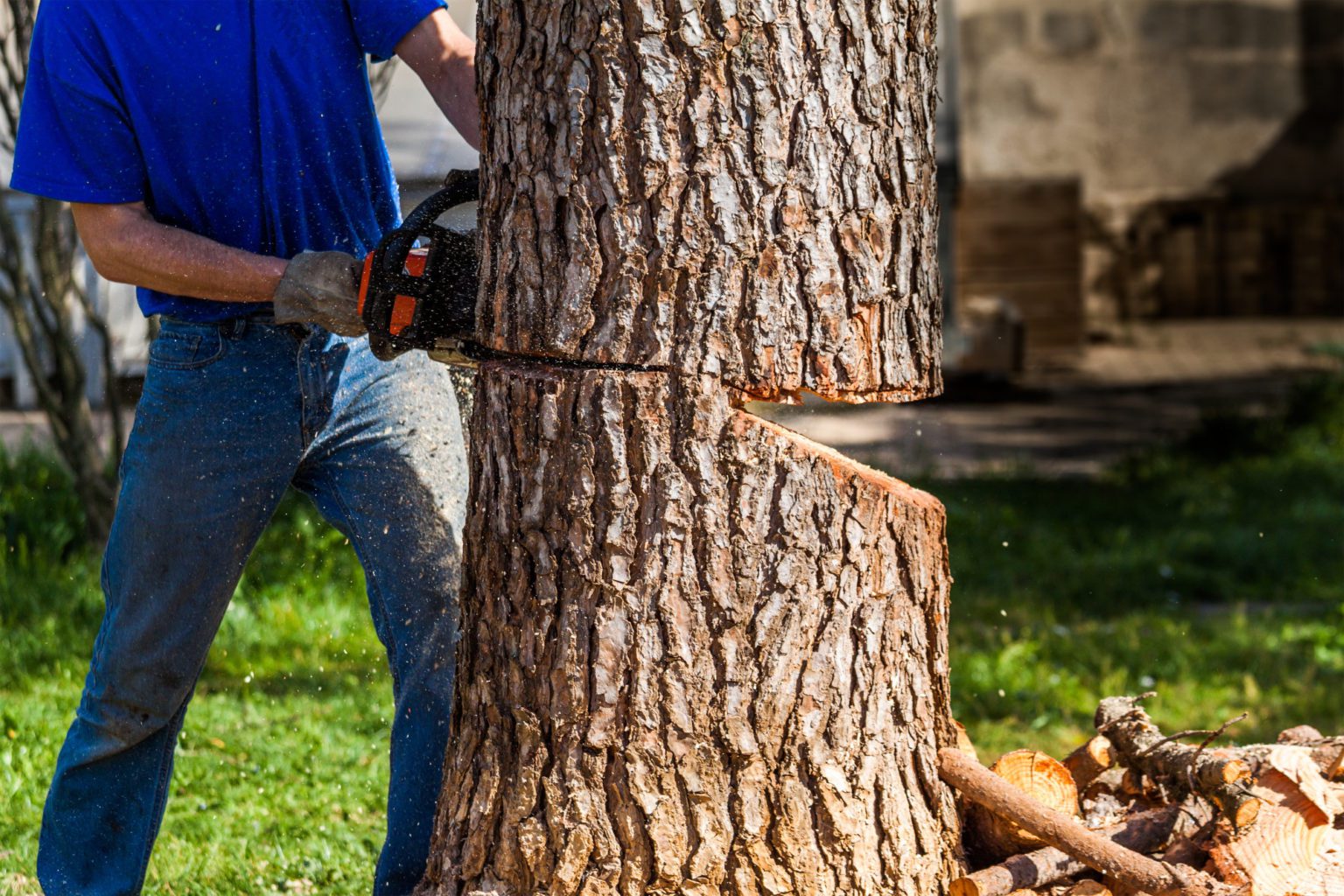 How Much Does Tree Service Cost in Columbus, OH?